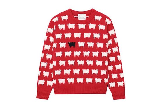 Diana's Pulli macht jetzt jeden zum "schwarzen Schaf" - Fashion and ...