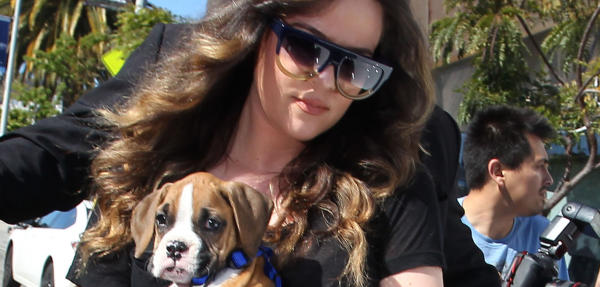 Stars und ihre Hunde | Heute.at