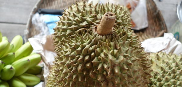 Stinkfrucht für 1.000 Dollar verkauft - Life | heute.at