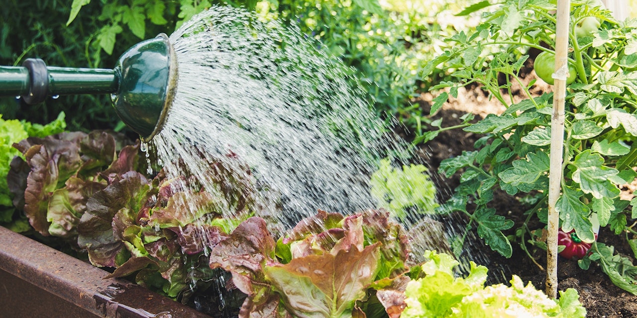 Wohnen – Mit diesen 7 Tipps wirst auch du zum Selbstversorger | Heute.at