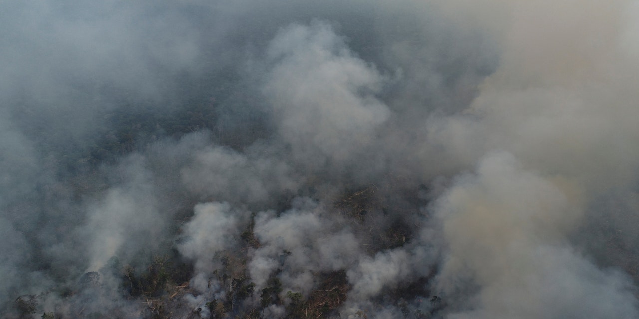 Welt – Amazonas-Regenwald brennt wie lange nicht mehr | Heute.at