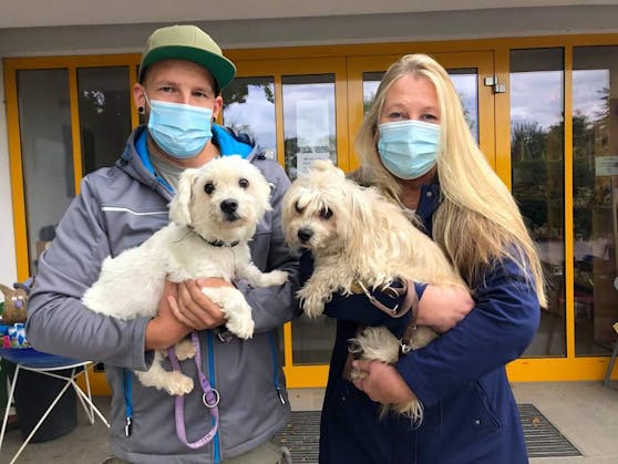 Hunde mit Stromhalsbändern traktiert – Abnahme - Niederösterreich ...