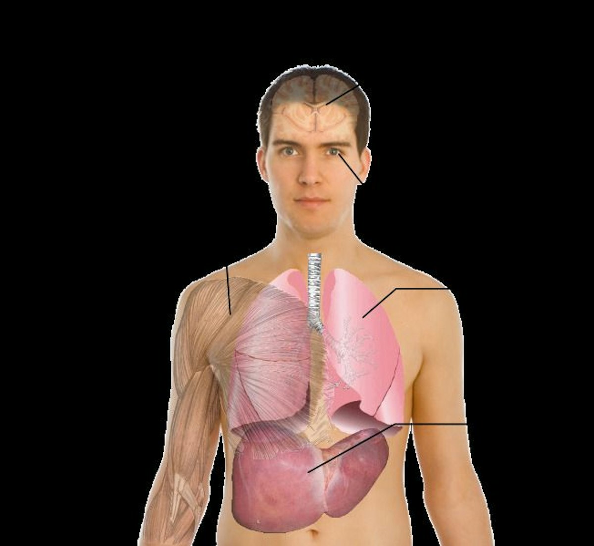 Österreich – So gefährlich ist das Giftgas Ammoniak | Heute.at