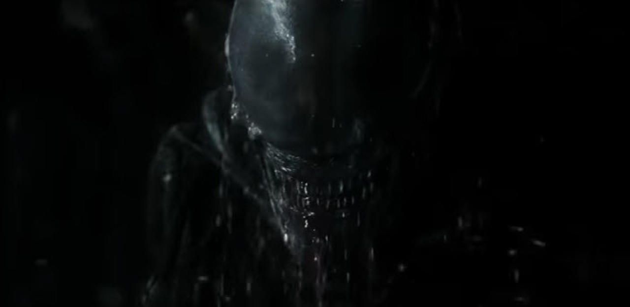 "Alien: Covenant": Neue Bilder der Monster – Szene | Heute.at