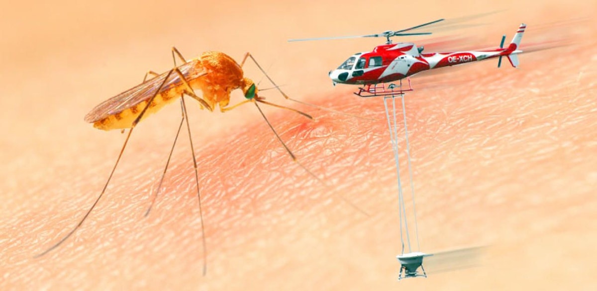 Österreich – Hubschrauber-Einsatz für Kampf gegen Gelsenplage | Heute.at