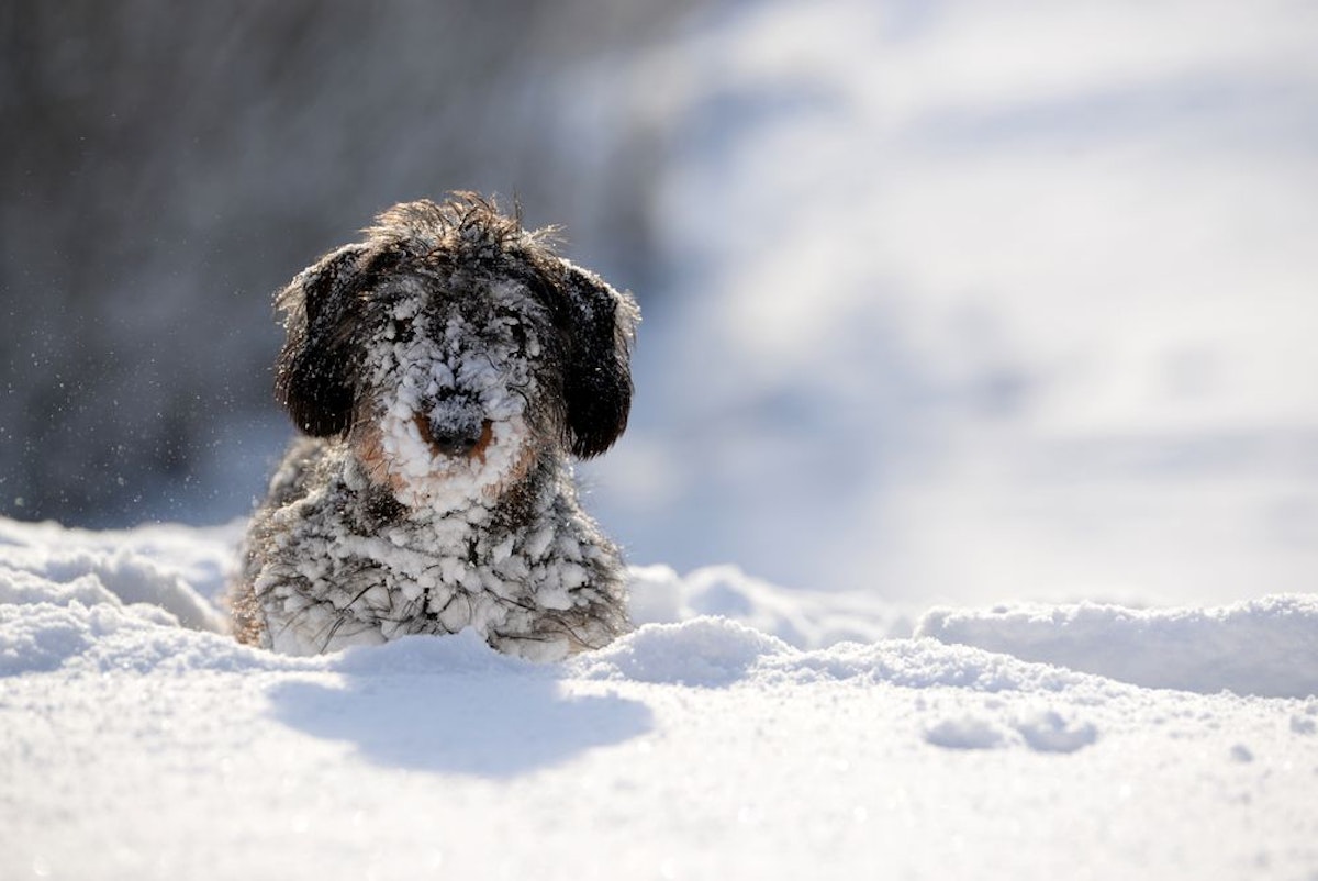 Österreich – Ein Hoch auf "Doris" | Heute.at
