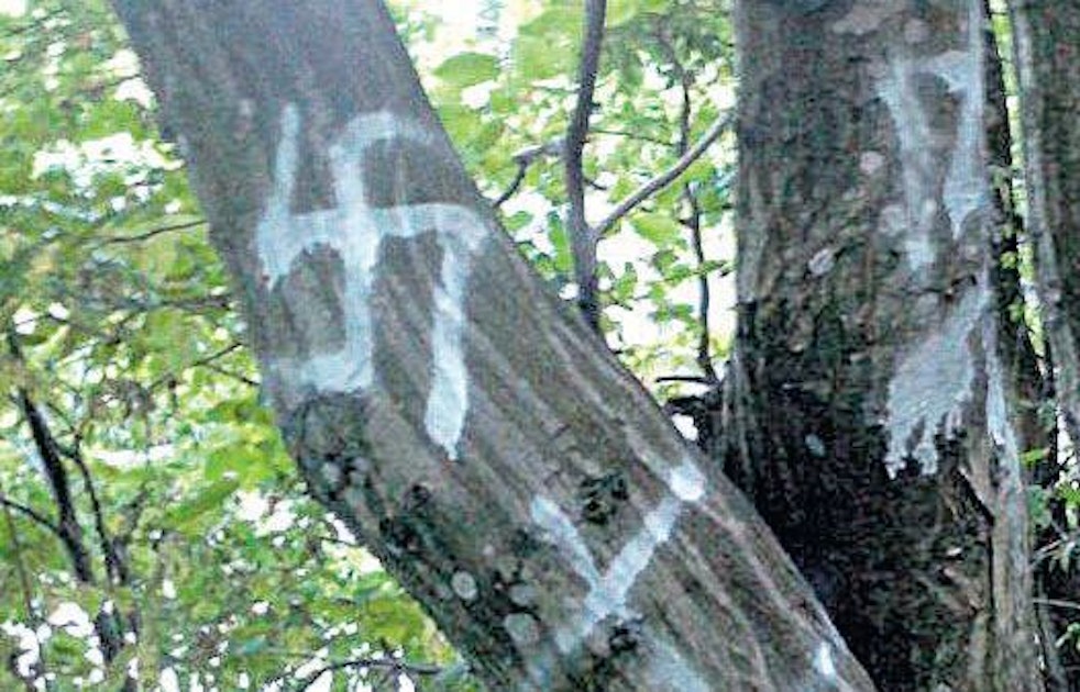 Österreich – Wanderweg von Sprayer-Gang verwüstet | Heute.at