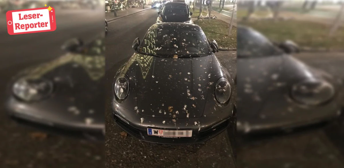 Community – Wiener Tauben hatten es auf Porsche 911 abgesehen | Heute.at