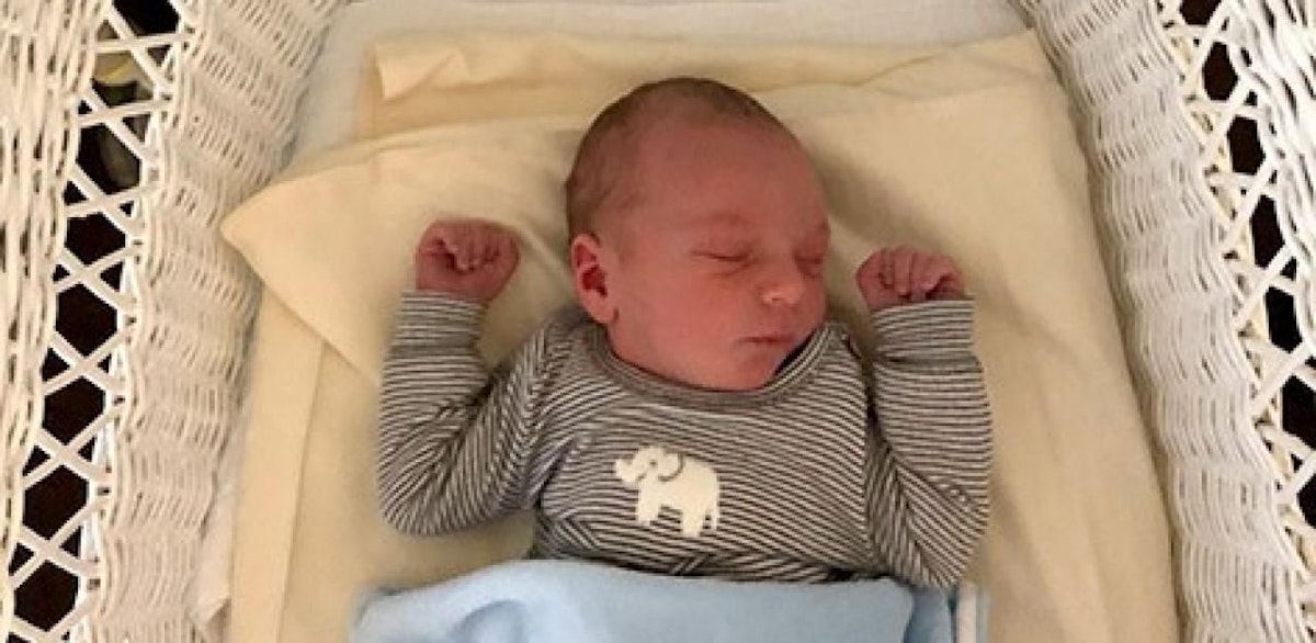 Szene – Elke Rock erstmals Mama - ihr größter Hit heißt Toto | Heute.at