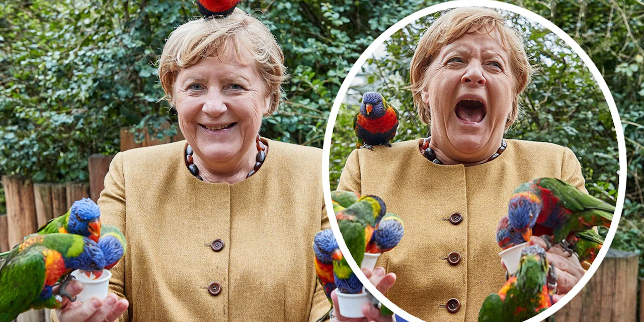 Wildtiere – Der letzte Schrei – Merkel geht nicht leise in Pension ...