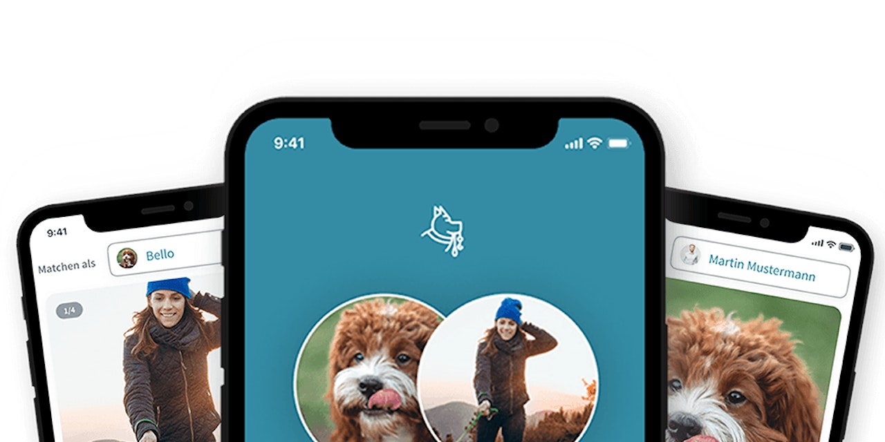 Haustiere – So funktioniert "Patzo" - das "Tinder" für Hunde | Heute.at
