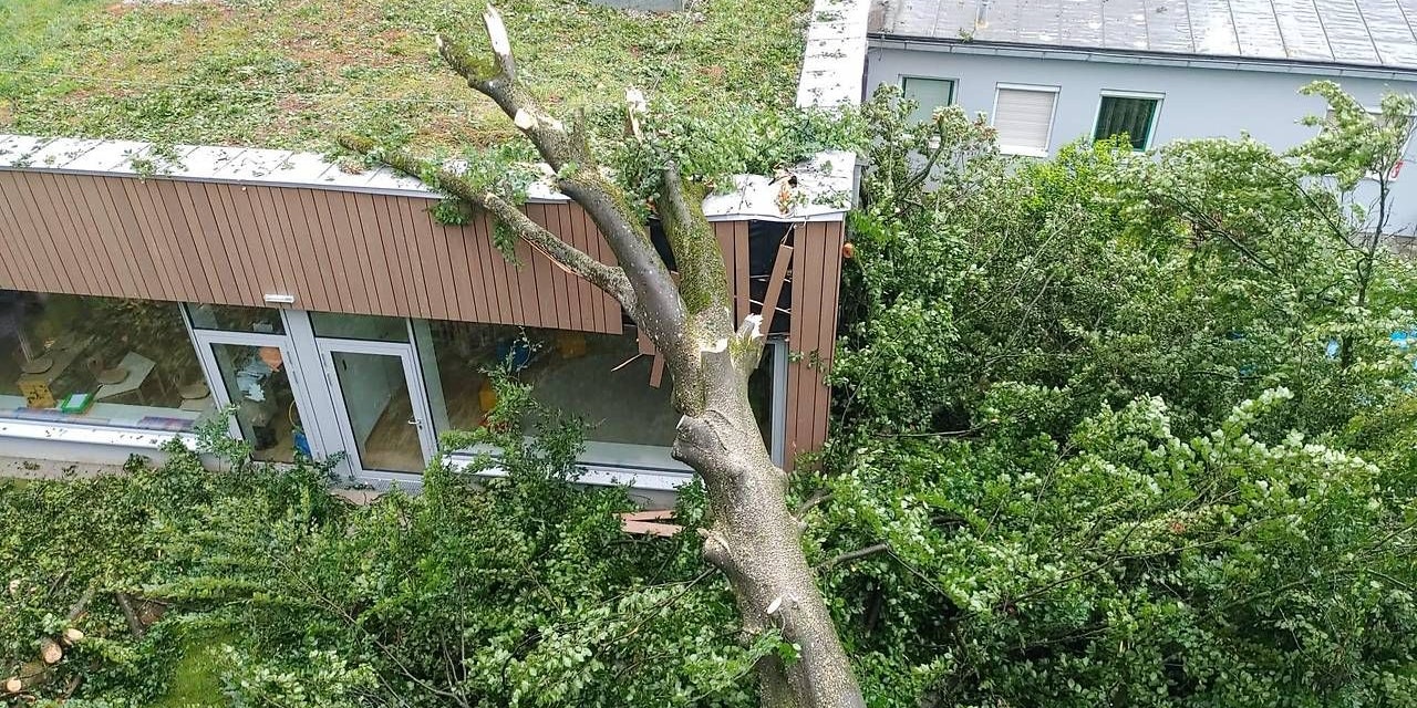 Österreich – Wind riss 20-Tonnen-Baum um, er stürzte auf Volksschule ...