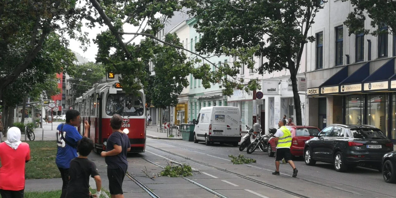 Bildstrecke: Erste Unwetter-Schäden in Wien – Äste blockieren Öffis ...