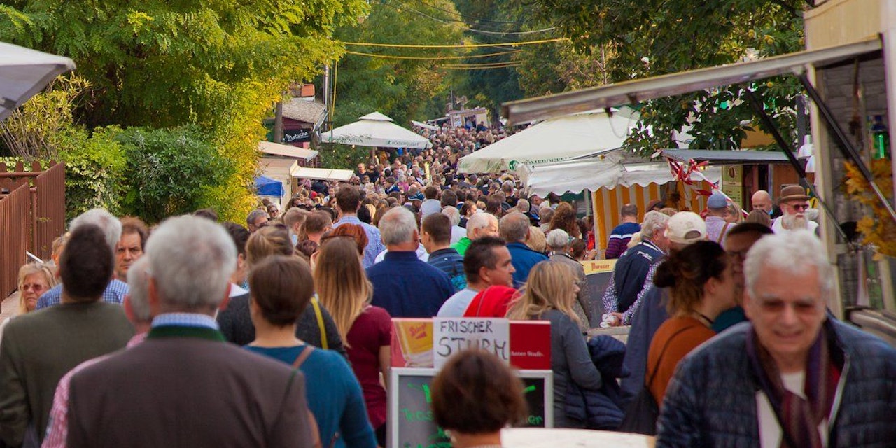 Wien – Runder Tisch als letzte Chance für Wiener Weinfeste | Heute.at