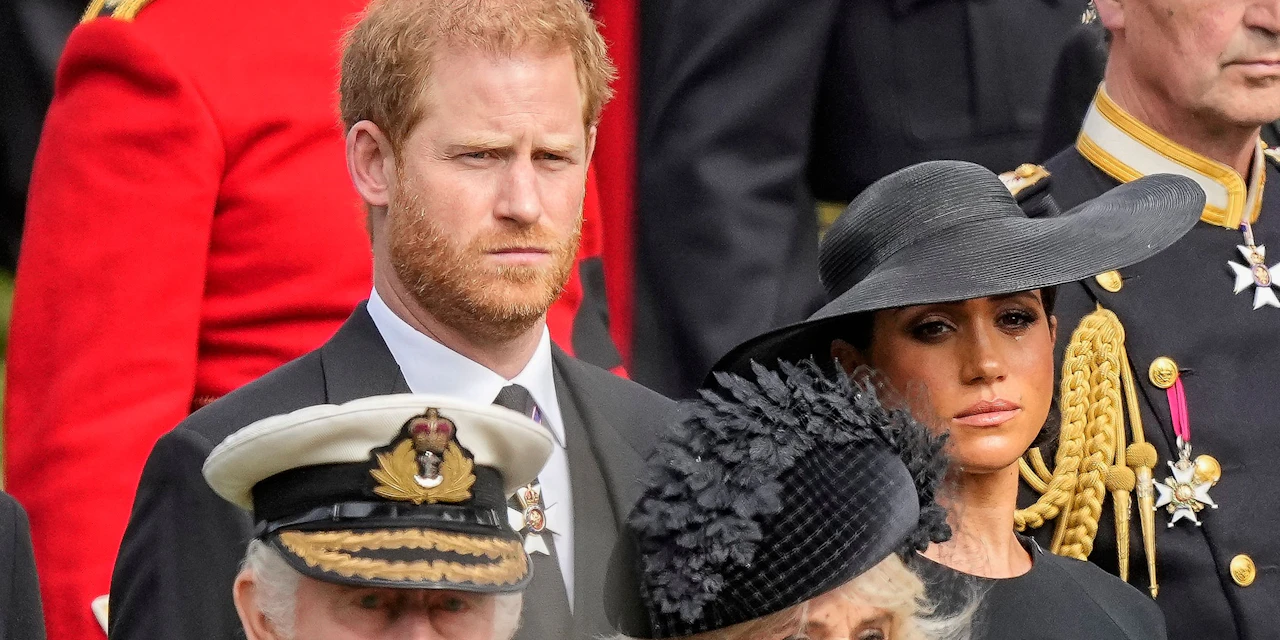 Science – Prinz Harry wird den Thron besteigen – sagt dieser Mann ...
