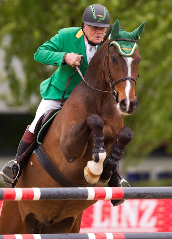 Österreichs bestes Springpferd "Sixth Sense" ist tot - Sportmix | heute.at