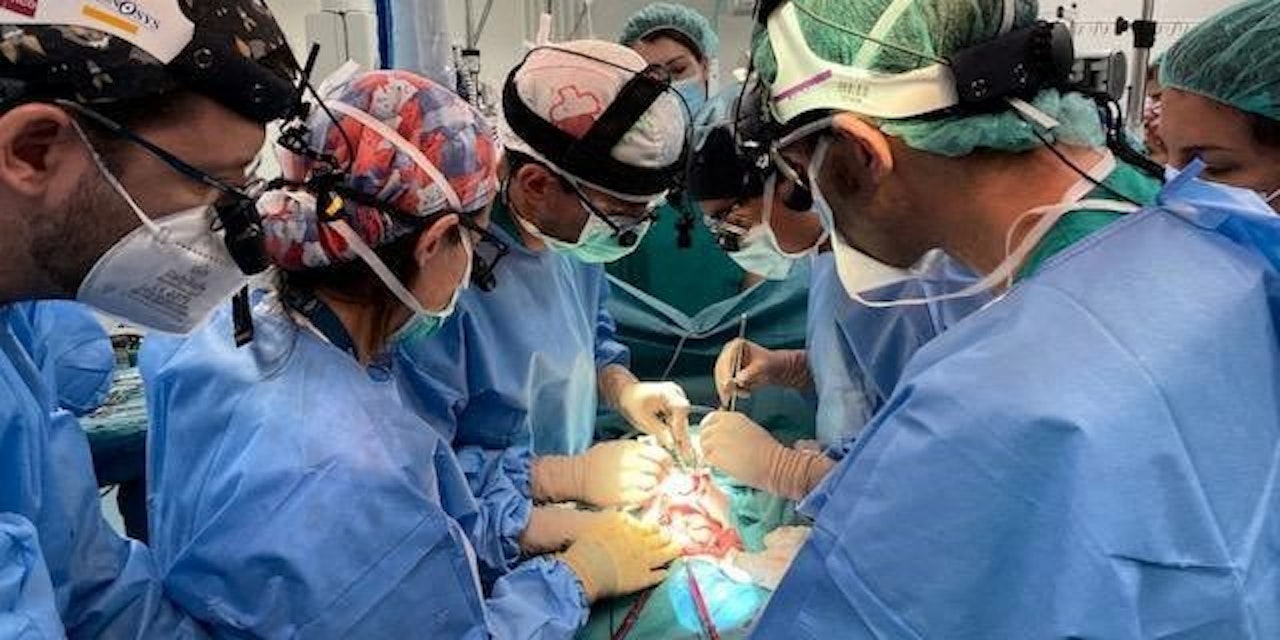 Gesundheit – Baby bekommt Darm, Leber, Magen und Milz transplantiert ...