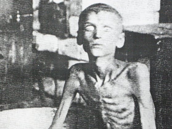 Holodomor – als Stalin Millionen Ukrainer verhungern ließ - Science | heute.at
