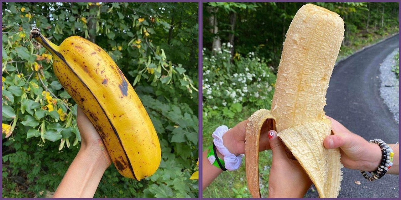Genuss – Hast du jemals schon so eine Banane gesehen? | Heute.at
