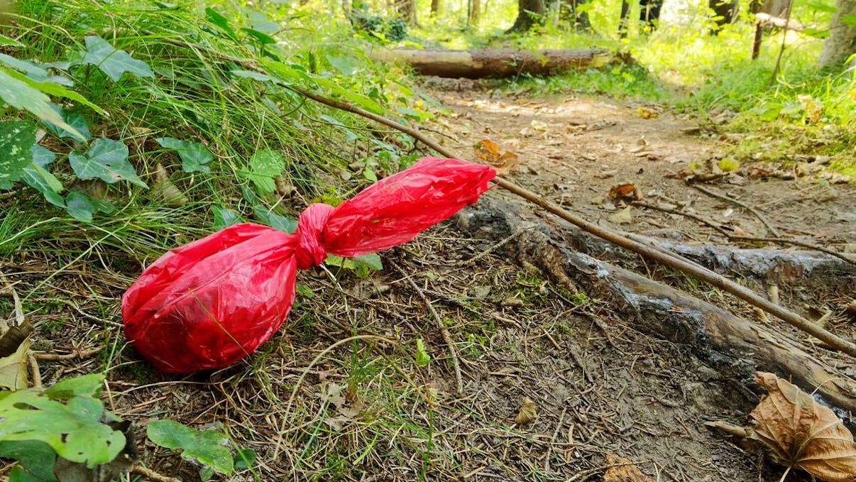 Solange liegt das Gackerl-Sackerl wirklich in der Natur | Heute.at