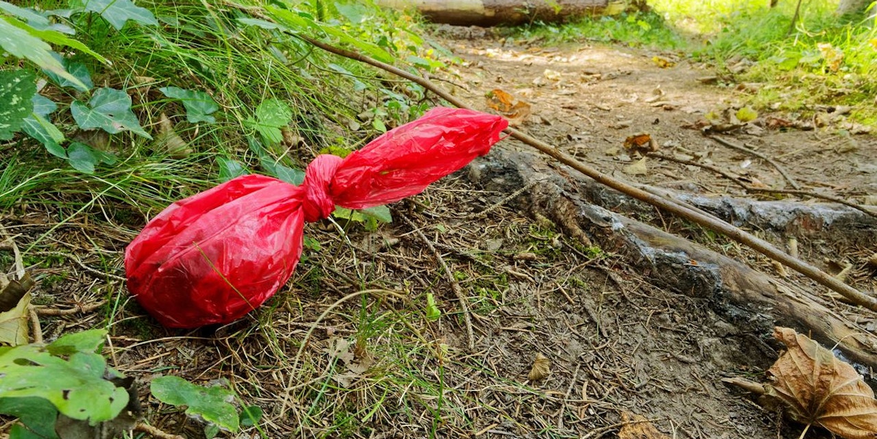 Haustiere – Solange liegt das Gackerl-Sackerl wirklich in der Natur ...