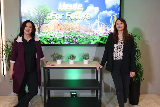 Kunst Haus setzt beim Klima auf "Design statt Desaster" - Klimaschutz ...