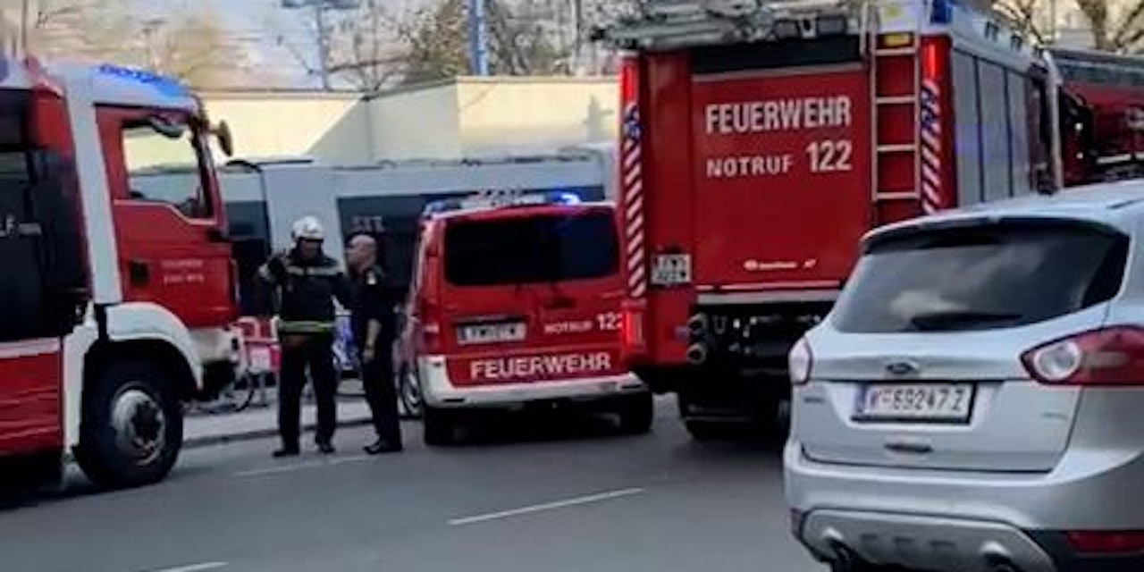 Leser – Hund unter Straßenbahn – Großeinsatz in Floridsdorf | Heute.at