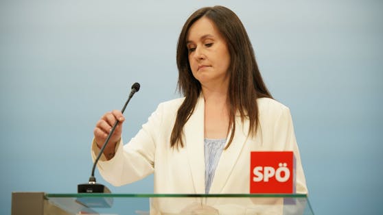 "Völlig disqualifiziert" – so spotten Parteien über SPÖ - Politik ...