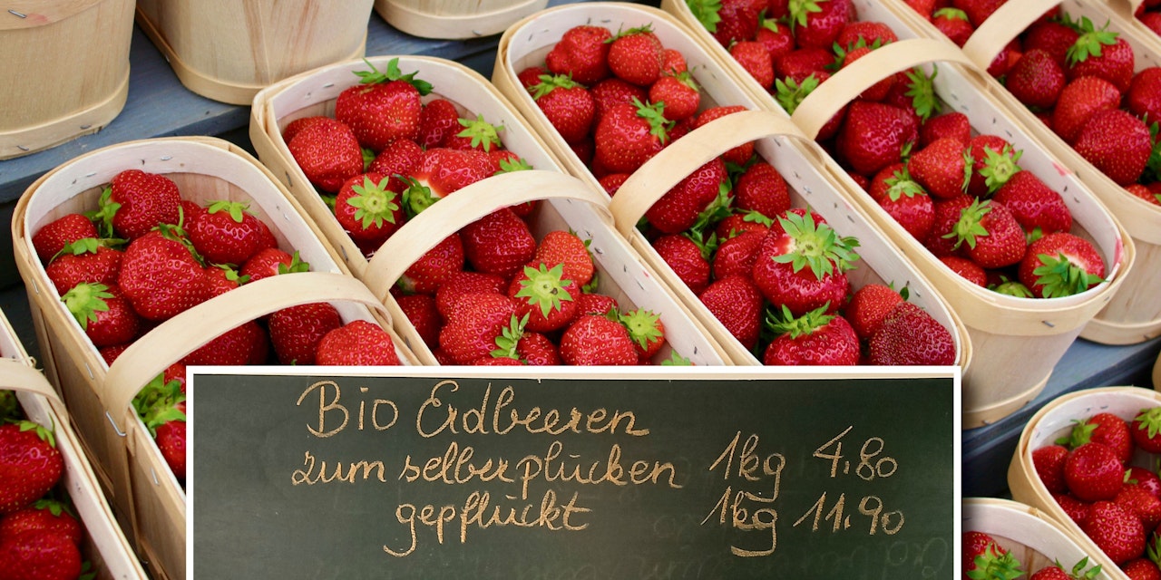 Oberösterreich – Dieser einfache Trick macht Erdbeeren viel billiger ...