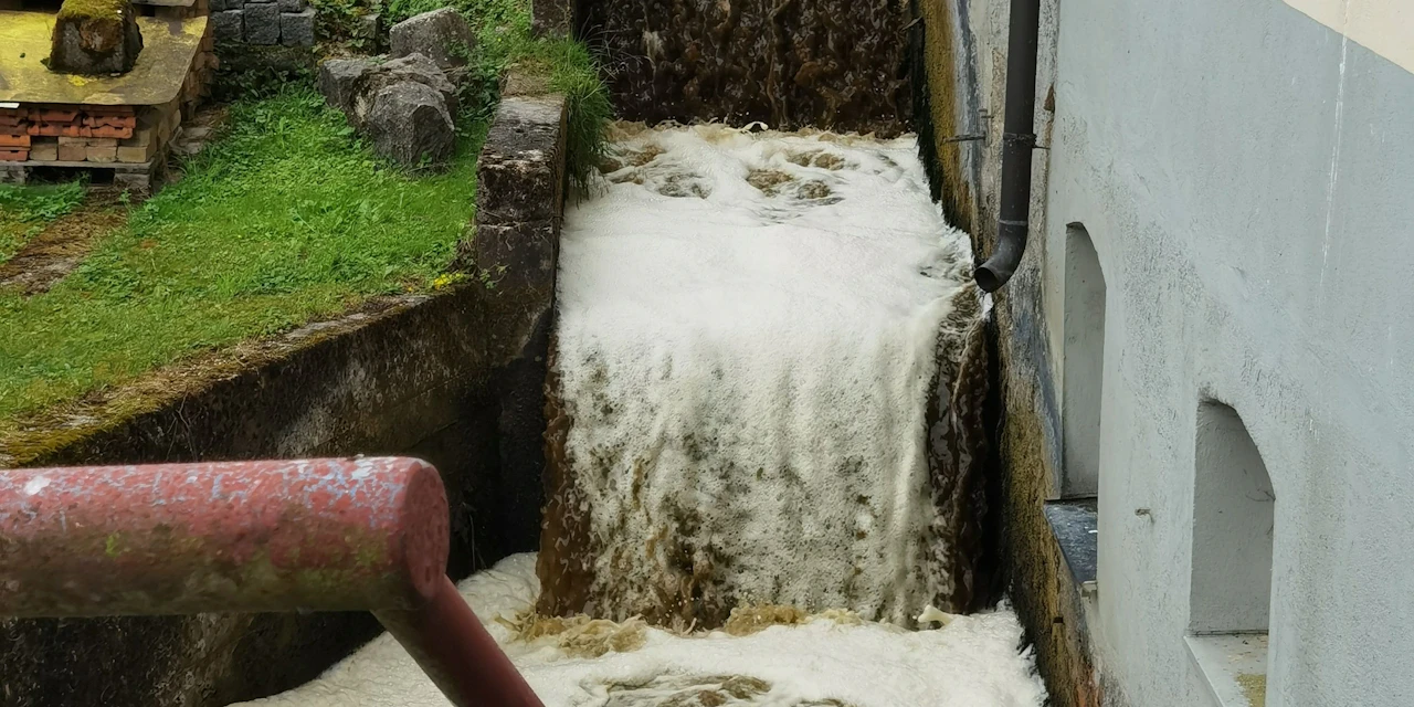 Oberösterreich – "Alles tot" – Katastrophe durch Fäkalien im Wasser ...