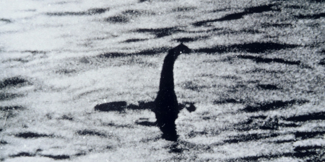 Science – Wo ist "Nessie"? Größte Suchaktion seit Jahrzehnten | Heute.at