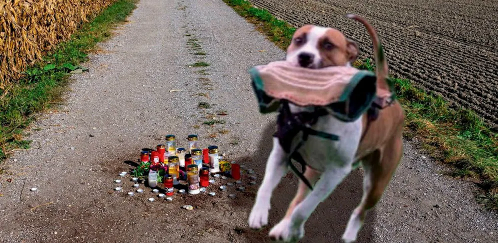 Oberösterreich – Kadaver von Killer-Hund "Elmo" an geheimen Ort ...