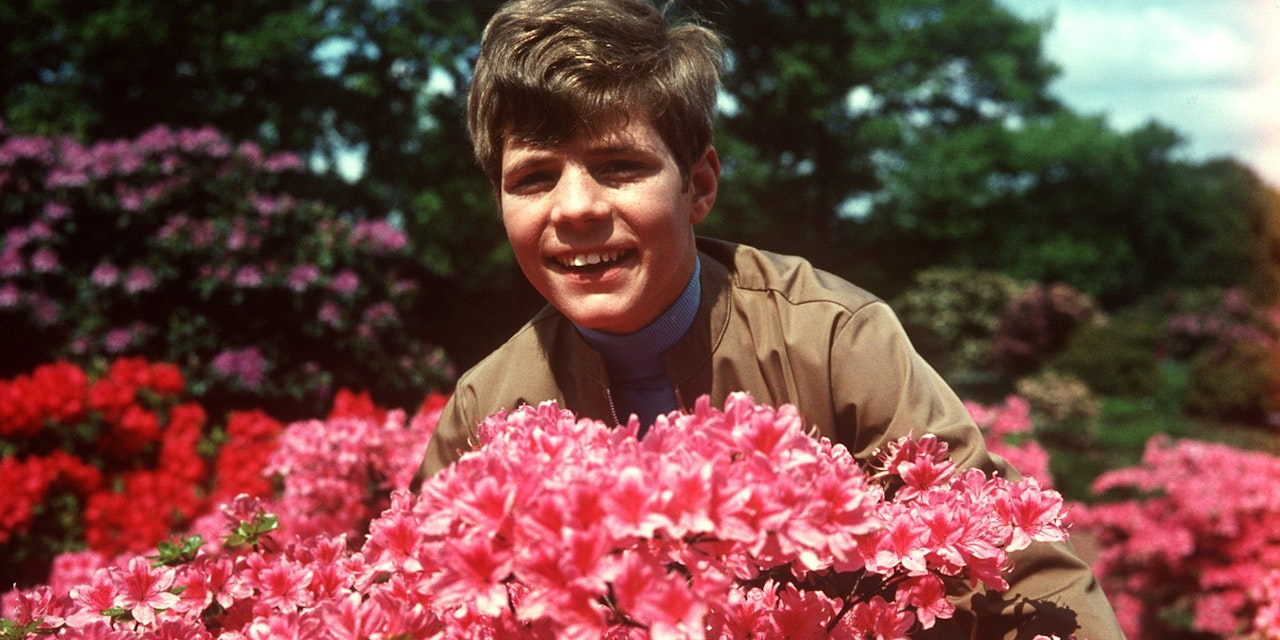 BILDERSTRECKE: Hein Simons alias Heintje – die besten Bilder der ...