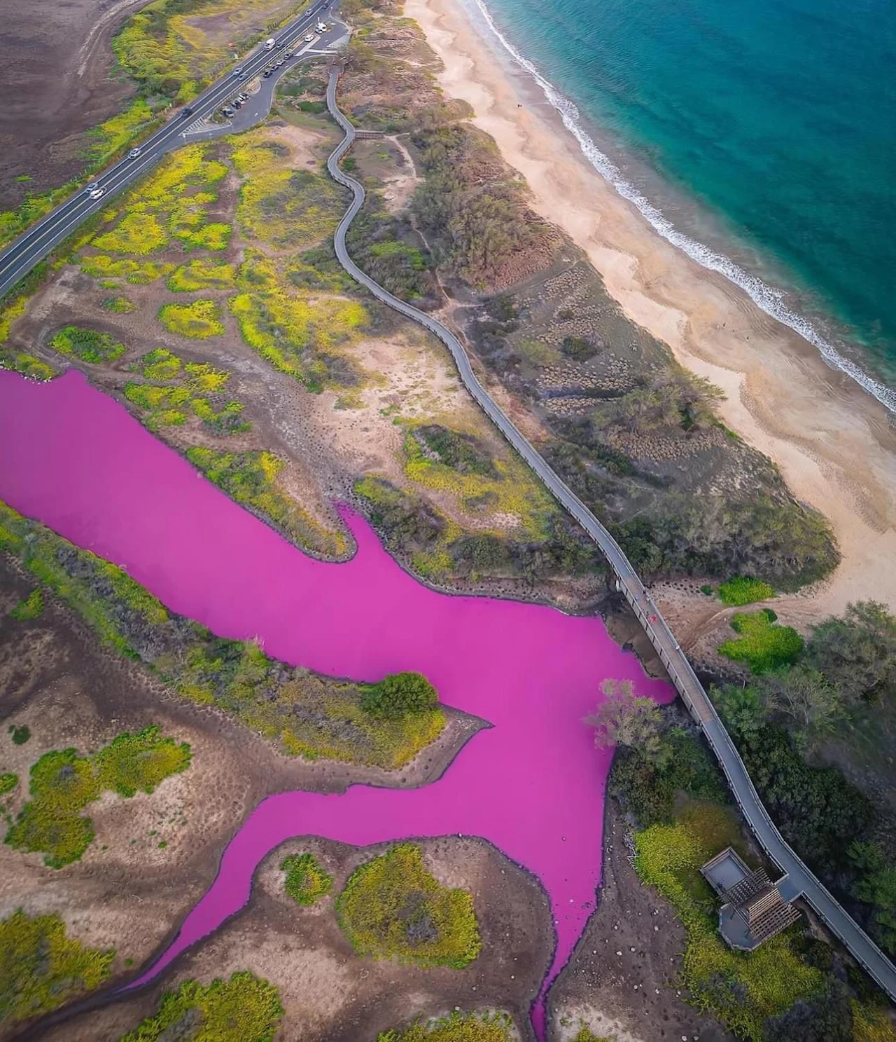 Wasser plötzlich pink – doch keiner weiß warum – Welt | heute.at