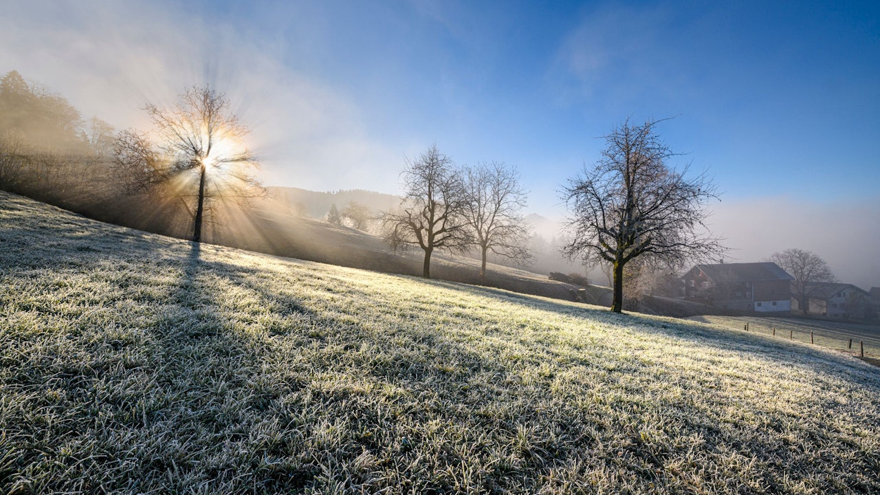 Kälter als am Nordpol – Bis zu -20 Grad! Polar-Frost überzieht ...