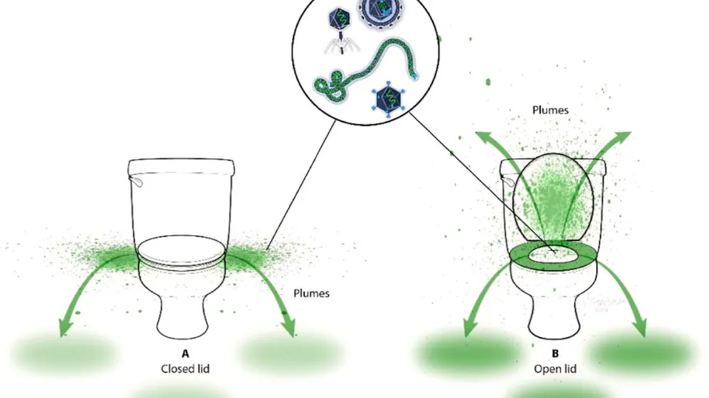 Klodeckel beim Spülen offen oder zu? Das ist hygienisch | Heute.at