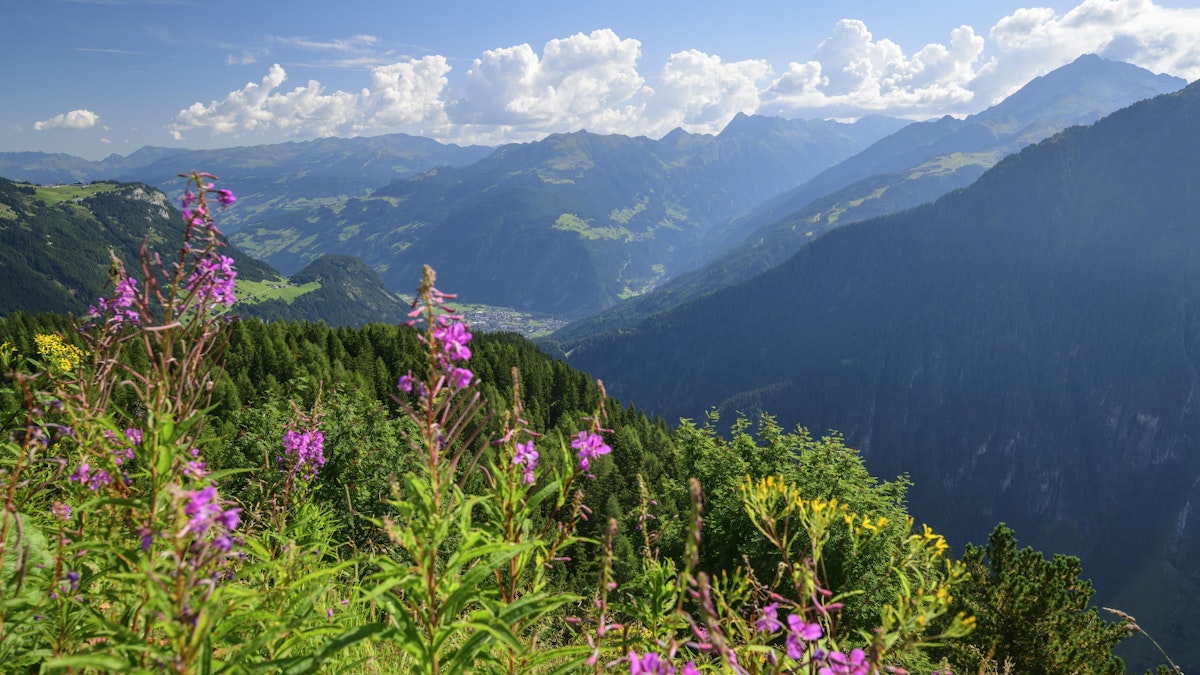 Wetter-Umschwung kommt – Experte sagt, worauf sich Österreich ...