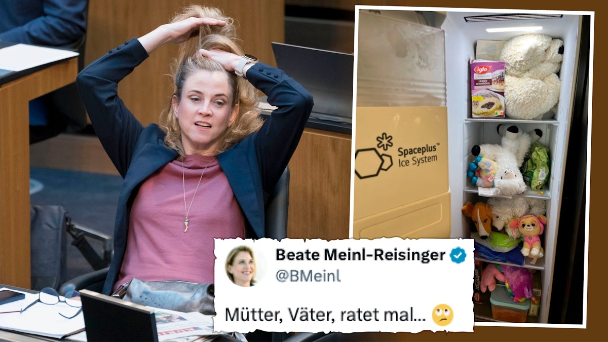 Beate, was juckt dich da? – Neos-Chefin zeigt ihr Gefrierfach – das ...