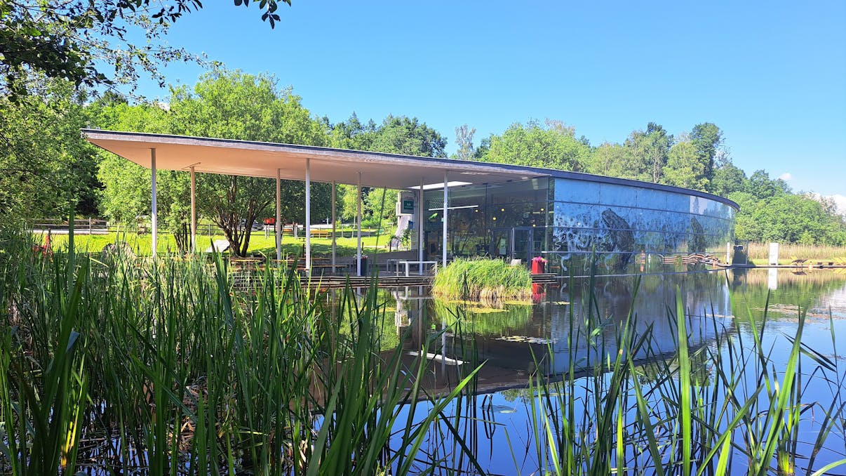 "UnterWasserReich" – Bohrn Mena-Stiftung unterstützt Hochmoor Schrems ...