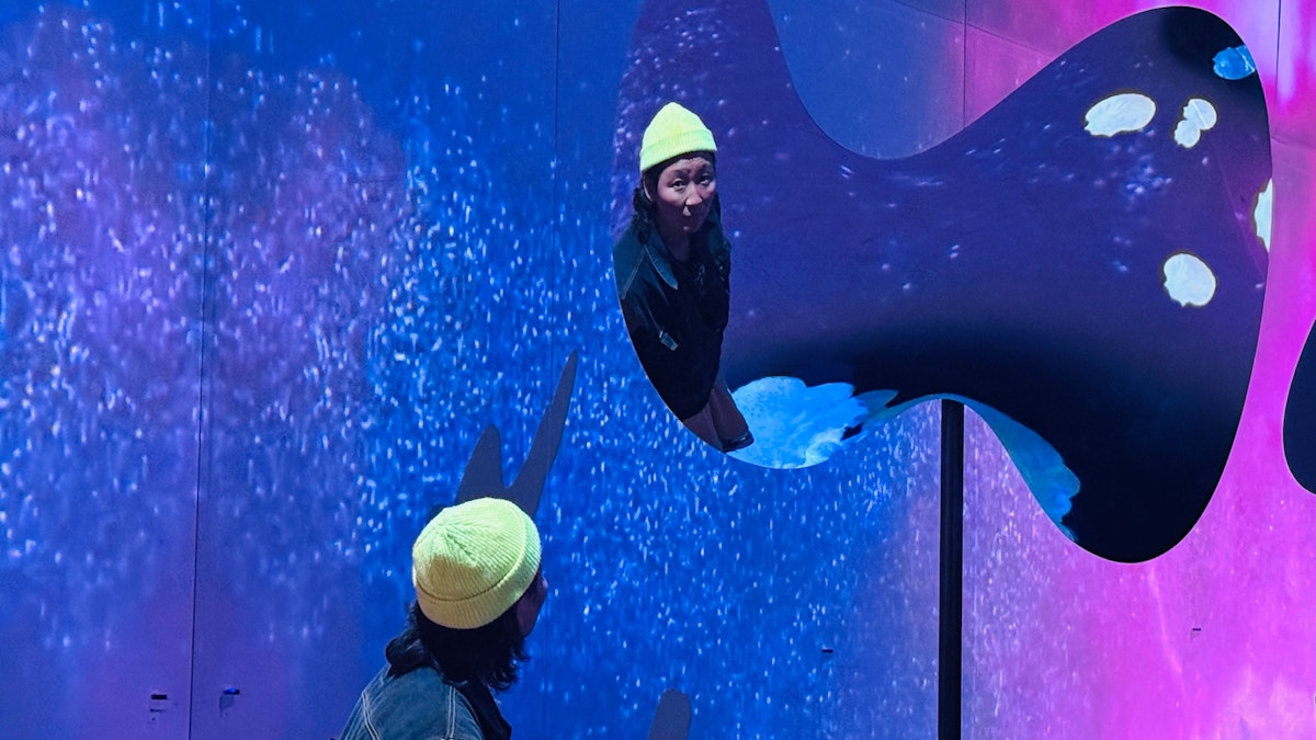 Anne Duke Hee Jordan – Magisch leuchtende Unterwasserwelt im Kunsthaus ...