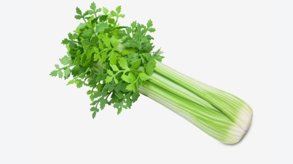 "Sellerie-Tasche" – Knackig – Moschino überrascht mit Gemüse-Accessoire ...