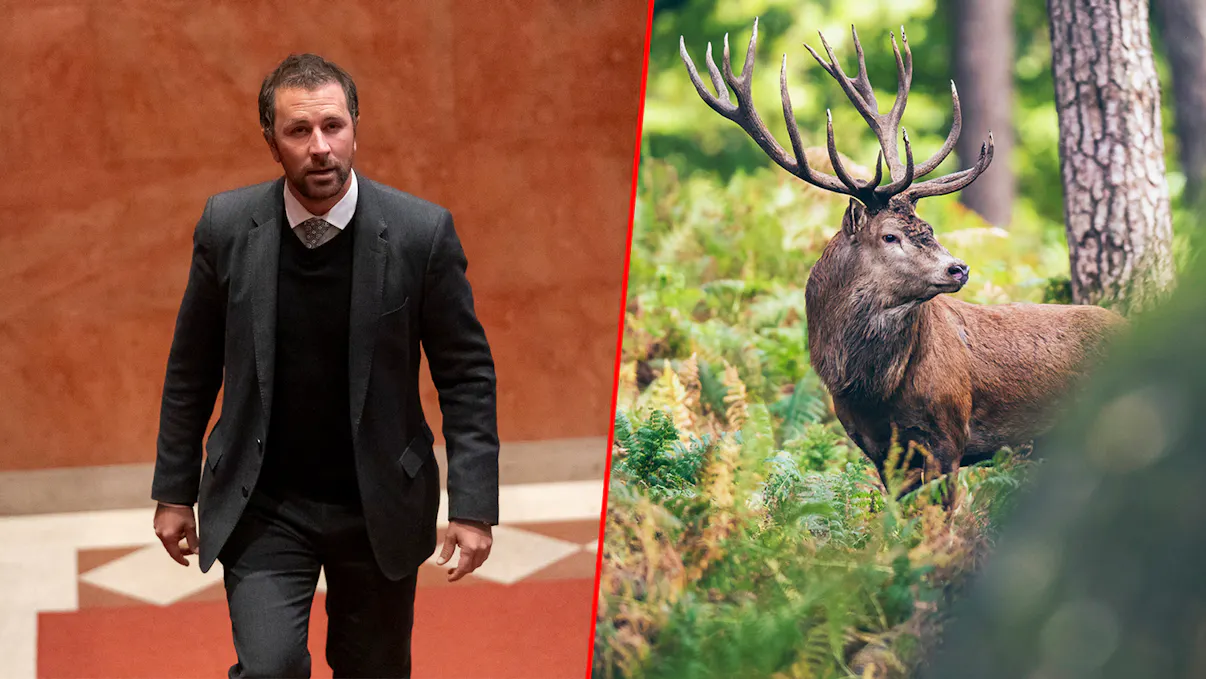 Muss SPÖ-Mann Hut nehmen? – Jagd-Causa: Wer jetzt zum Halali auf ...