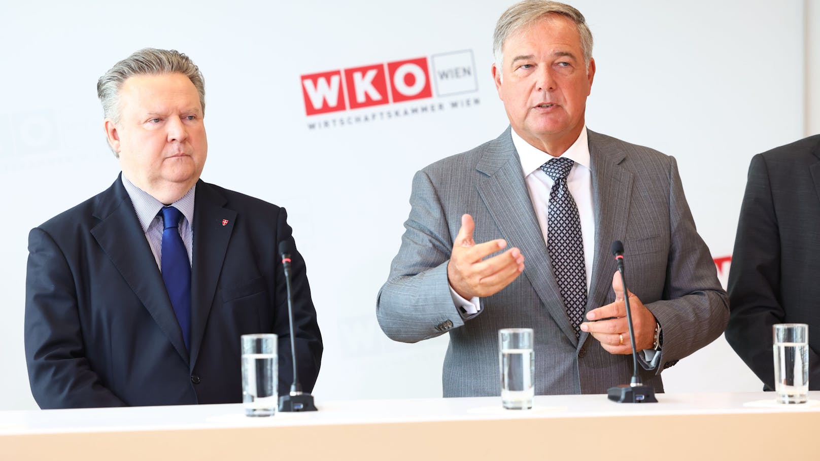 Harte Bandagen gegen Mahrer – Anklage-Causa: Übernimmt Walter Ruck die ...