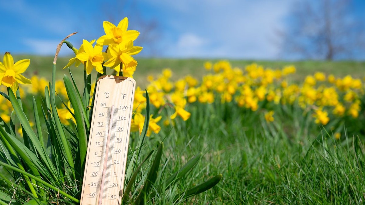 Saharastaub, bald 27 Grad! – "Außergewöhnlich warm" – jetzt kommt der Sommer | Heute.at