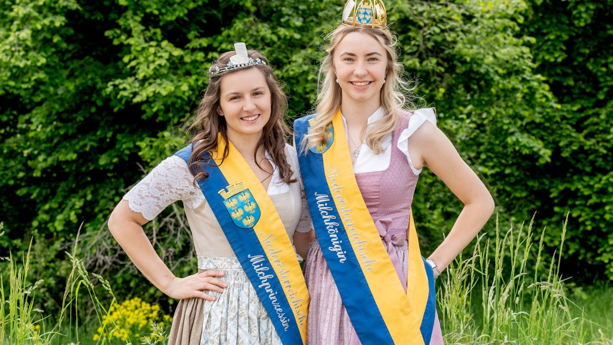 Österreich feiert die Milch – Weltmilchtag mit Kuh, Kultur und Kathrin II | Heute.at