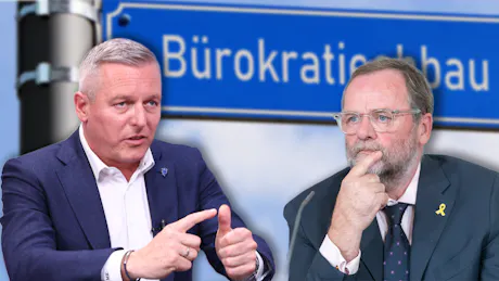 Staatssekretär Sepp Schellhorn – "Irgendeiner muss immer den Schädel ...