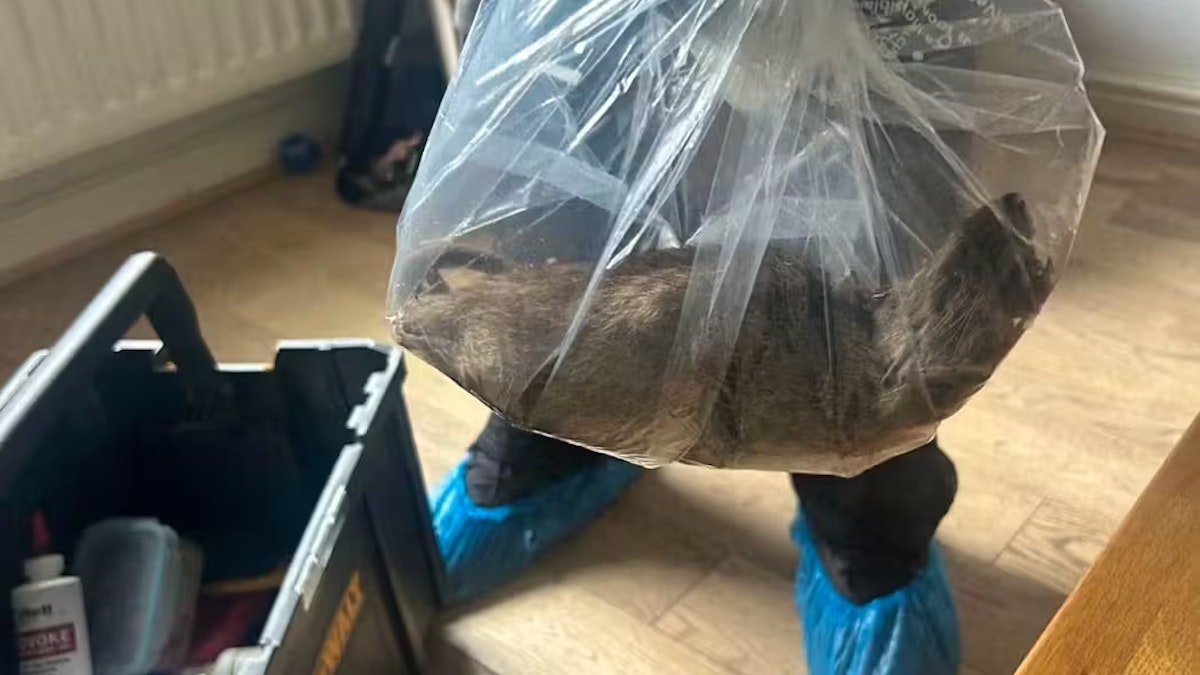 Helen vásquez desnuda similar to her photos but obviously