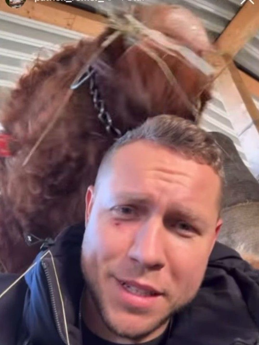 "Bauer sucht Frau"-Star ist Rinderzüchter. Kurzerhand bekam er ein Horn ...