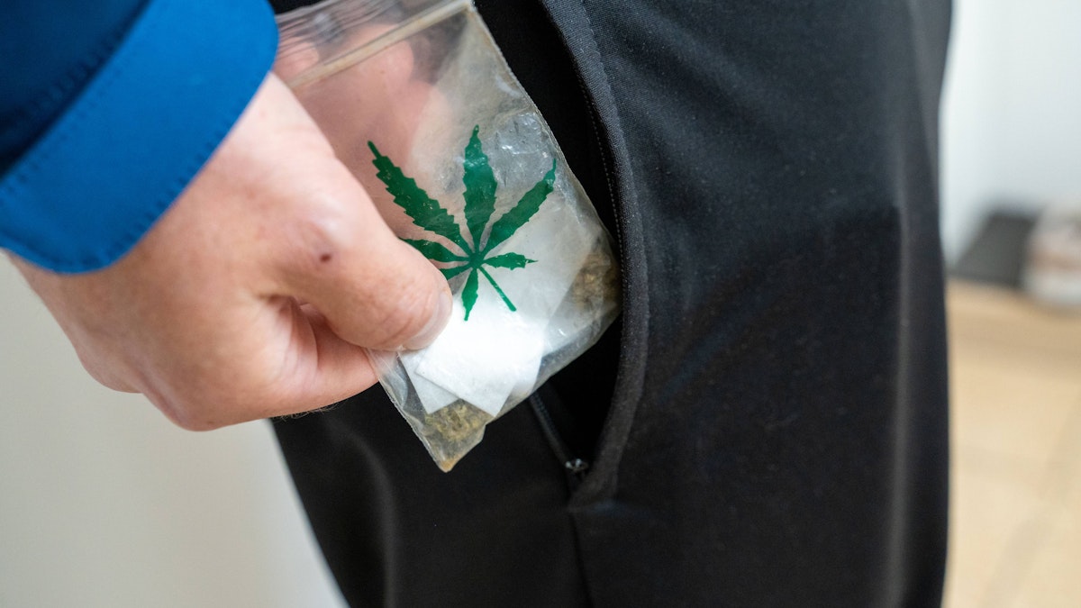 Zu hoher THC-Gehalt – Kärntner Duo fliegt auf: 10 Kilo Cannabis ...