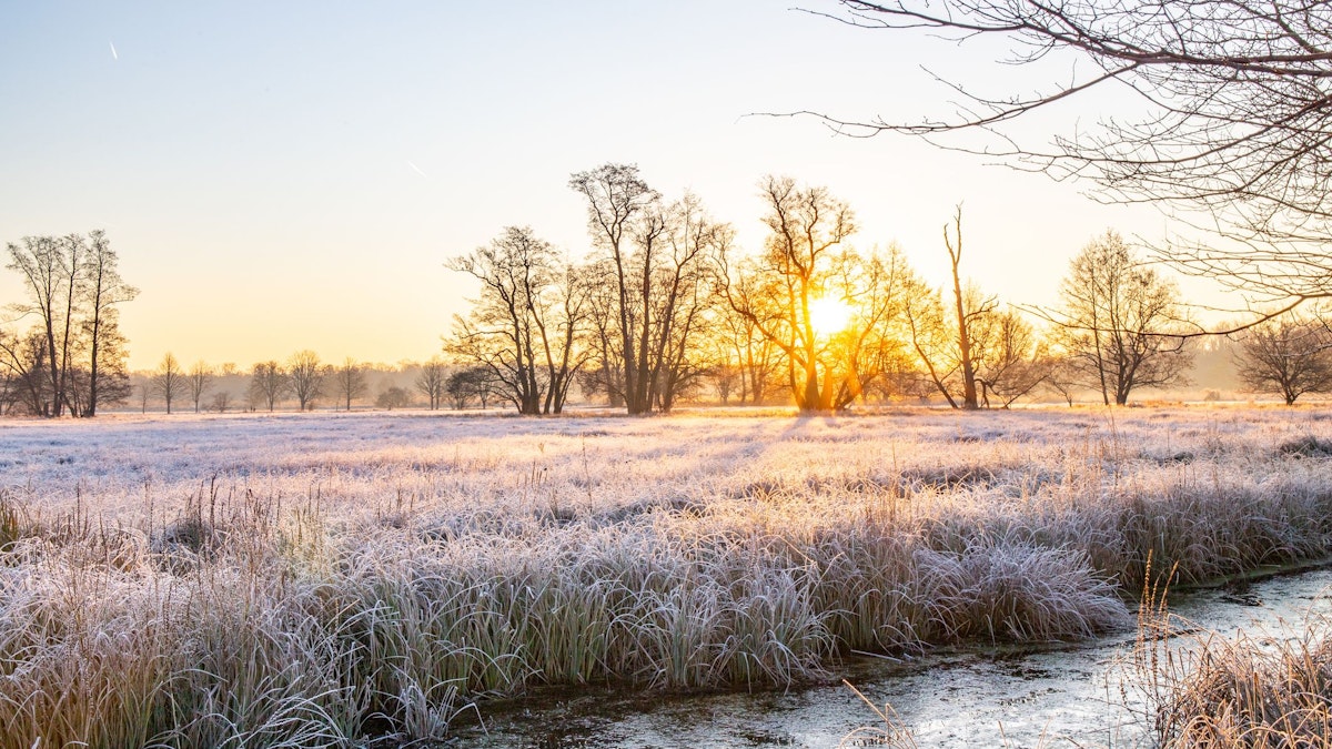 Wiederdeutlich unter 0 Grad – Es bleibt frostig – nächste Eis-Peitsche ...